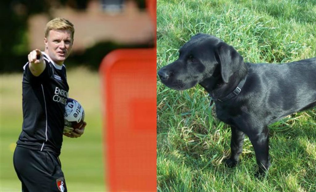 10 Facts You Do Not Know About Newcastle Manager Eddie Howe